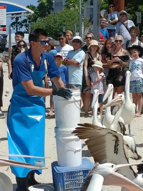 Gold Coast Surfers Paradise Private Tour from Brisbane - Why This Tour Offers Great Value