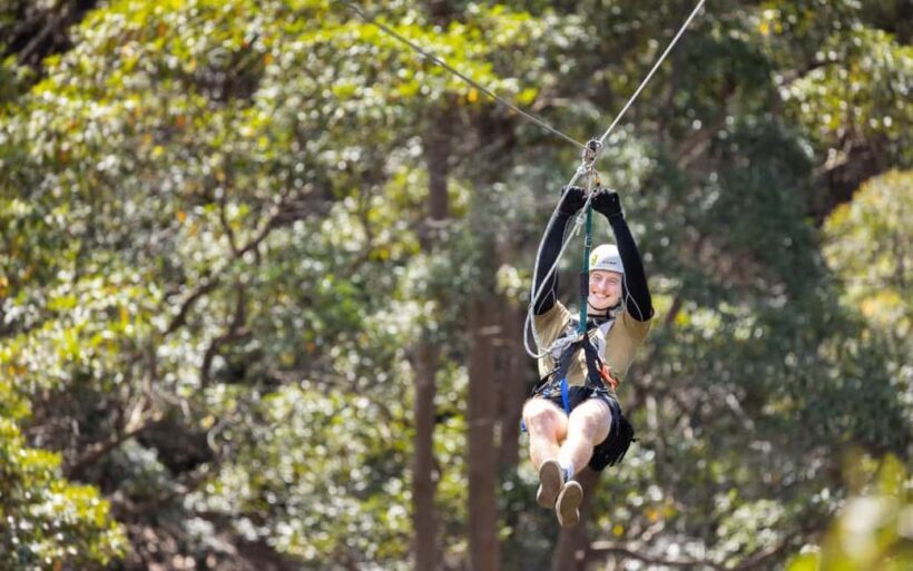 Gold Coast: Tamborine Mountain Canyon Flyer Zipline Tour - The Sum Up
