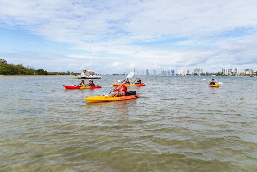 Gold Coast: Wave Break Island Kayaking & Snorkeling tour - Authentic Feedback from Participants