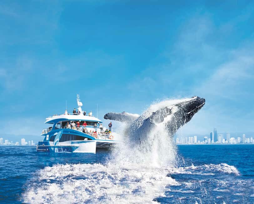Gold Coast: Whale Watching Cruise & Sea World Entry - Key Points