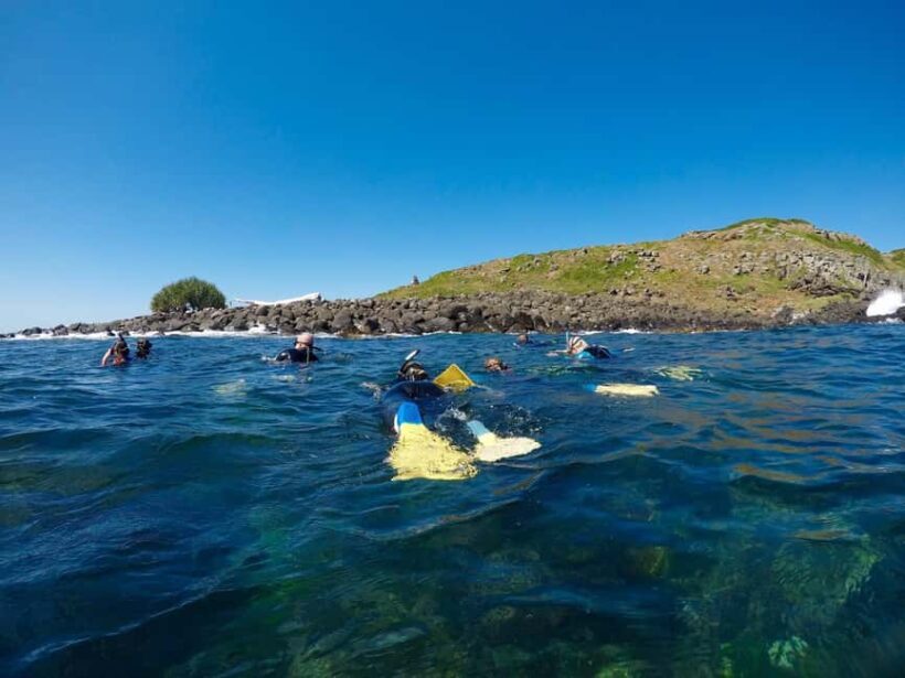 Gold Coast: Whales, Dolphins & Snorkelling with Turtles - Final Thoughts