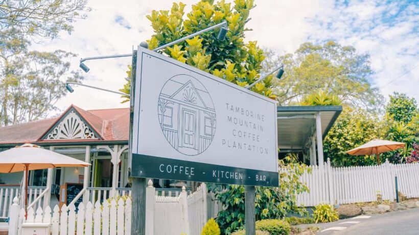 Gold Coast: Wine, Distillery & Rainforest Day Tour - Is This Tour Worth the Price?