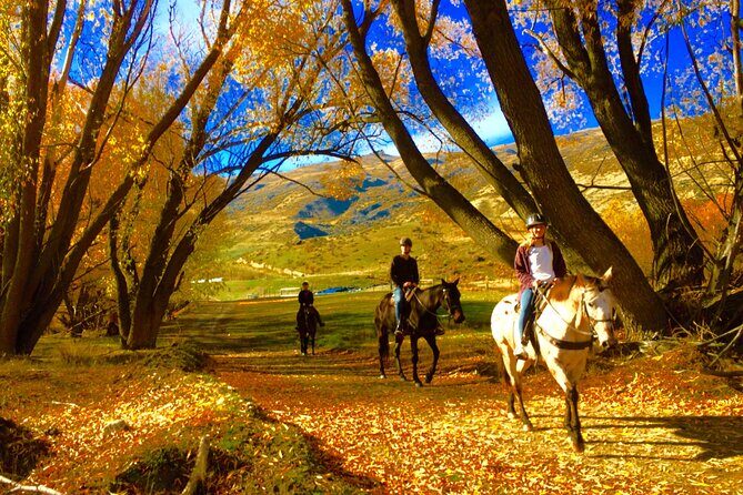 Gold Discovery Trail Horse Trek Cardrona - Most popular! - The Experience: What to Expect and Practicalities