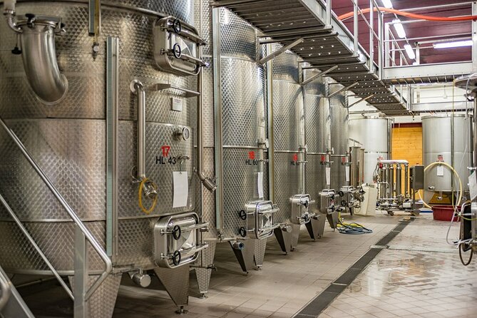 GOLD EXPERIENCE - Winery Tour & Tasting at Villa Corniole - Accessibility Features