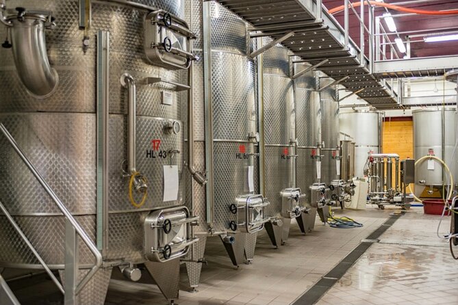 GOLD EXPERIENCE - Winery Tour & Tasting at Villa Corniole - Unique Experiences at Villa Corniole