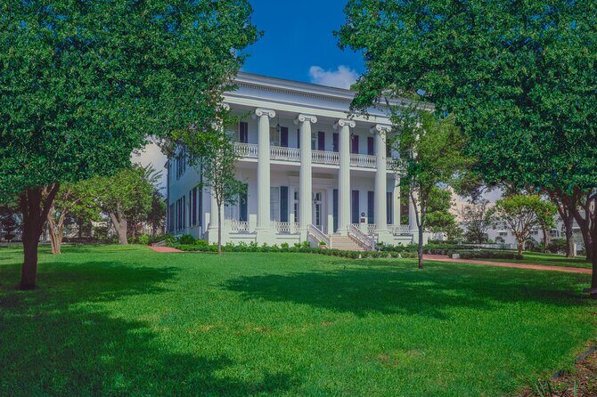 Golden Austin Adventures: A Seniors Walking Delight Tour - Real Traveler Insights