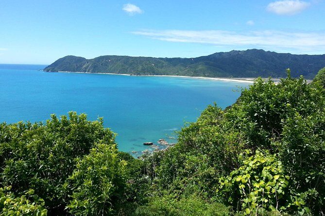 Golden Bay in a Day - The Scenic Journey Begins: Nelson to Takaka Hill