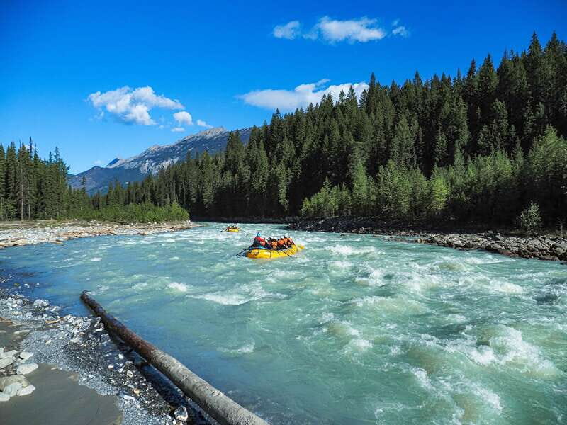 Golden, BC: Kicking Horse River Half Day Whitewater Rafting - Authentic Experiences in Every Paddling Stroke