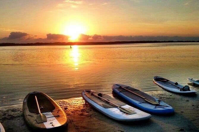 Golden Beach 1-Hour Stand-Up Paddleboard Hire on the Sunshine Coast - Who Should Consider This Experience?