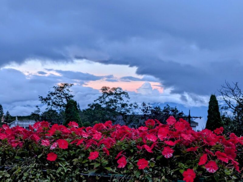 Golden Bridge -Ba Na Hills Small Group from Hoi An / Da Nang - Key Points