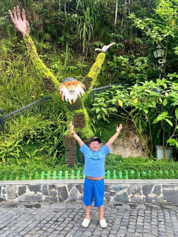 Golden Bridge- BaNa Hills and Marble Mountain Fullday Tour - The Action-Packed Fantasy Park & Attractions