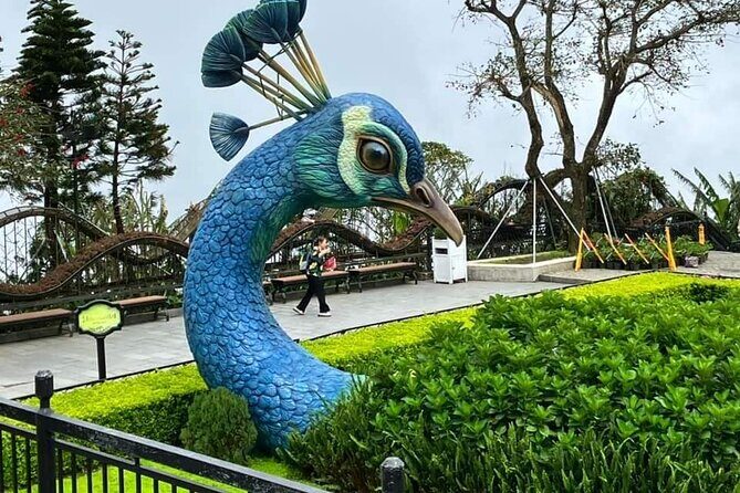 Golden Bridge Private Tour-Early start to Avoid Crowd-Nice Photos - What Could Be Improved?