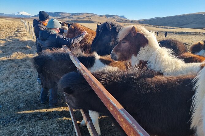 Golden Circle Experience - Private Eco Tour - Explore the Gullfoss Waterfall
