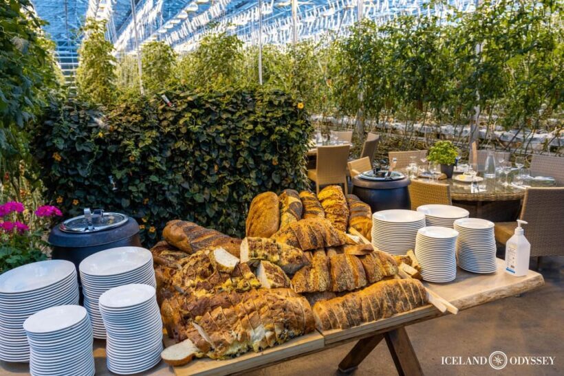 Golden Circle: Geysers, Falls & Tomato Farm with Lunch - The Sum Up: Is It Worth It?