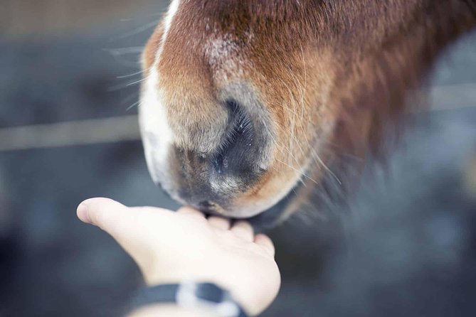 Golden Circle & Kerið Day Tour by Minibus from Reykjavik - Value for Money and Overall Impression