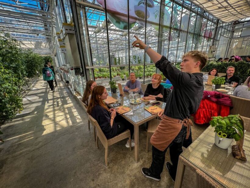Golden Circle & Lunch at Fridheimar Tomato Farm- with photos - The Sum Up