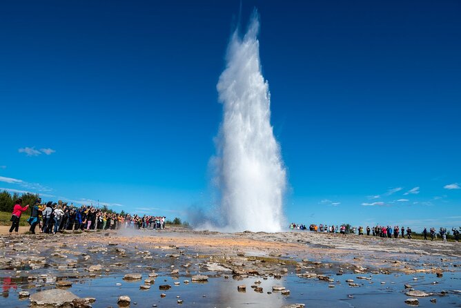 Golden Circle & Northern Lights Tour From Reykjavik - Customer Experiences and Feedback