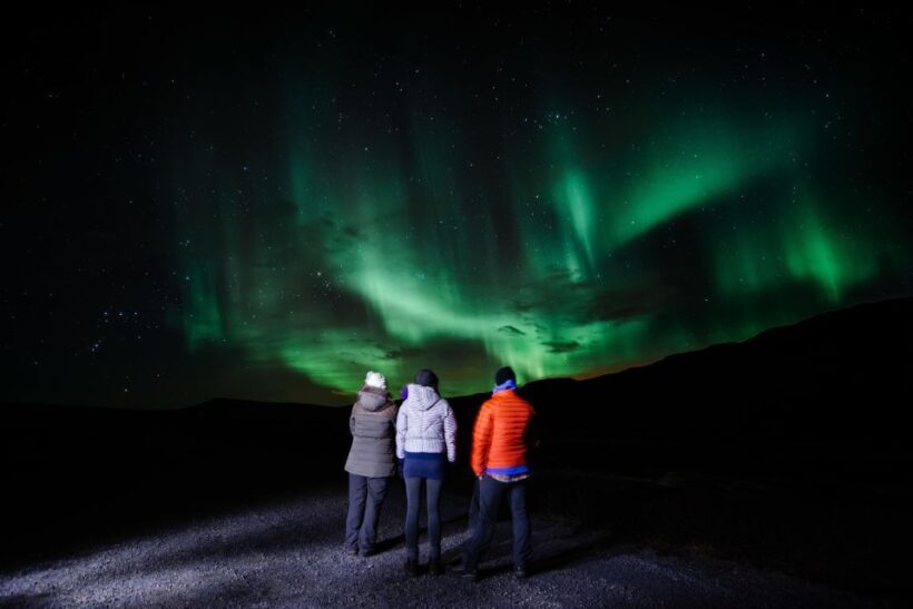 Golden Circle & Northern Lights Winter Small Group Tour - Exploring the Golden Circle: What’s Included and Why It Matters
