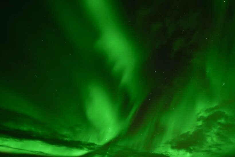 Golden Circle & Northern Lights Winter Small Group Tour - The Sum Up