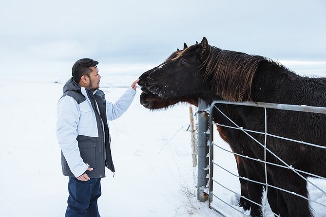 Golden Circle | Private Tour | PRO Photo Package - The Practical Side: What This Tour Means for You