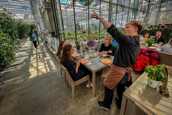 Golden Circle, Silfra Snorkeling & Fridheimar Tomato Farm Lunch - The Sum Up