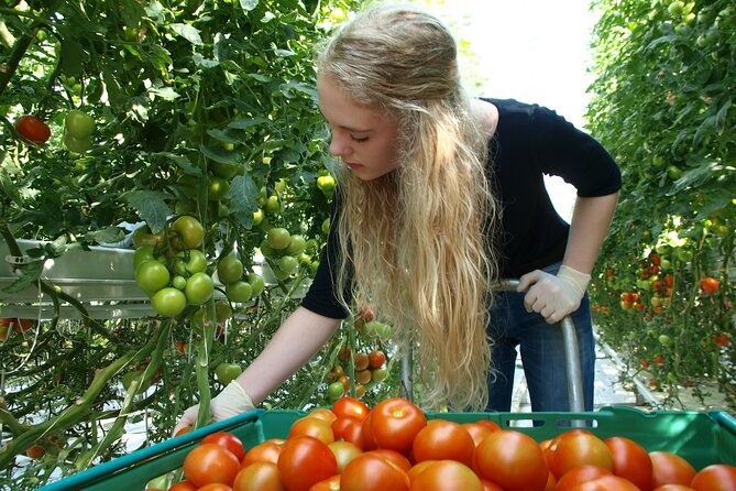 Golden Circle Tales, Tomato Farm & Kerid! Small Group Adventure - Final Thoughts