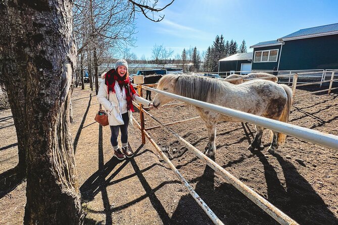 Golden Circle, Tomato Farm Lunch & Sky Lagoon - with photos - The Sum Up: Who Is This Tour Best For?