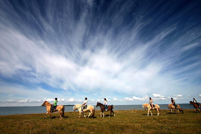 Golden Circle & Viking Horse Experience - Viking Horse Experience