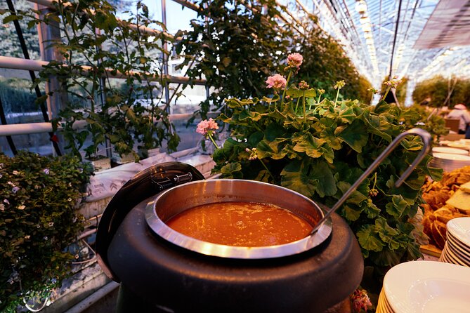 Golden Circle with Tomato Farm Lunch & Secret Lagoon Bathing - Who Is This Tour Best For?