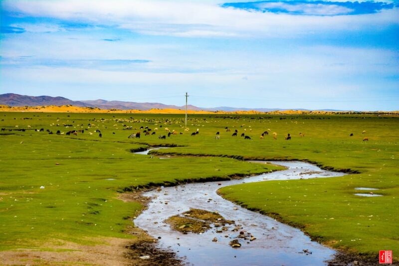 Golden Eagle Festival and Greate Gobi desert tour - Final Thoughts: Who Will Love This Tour?
