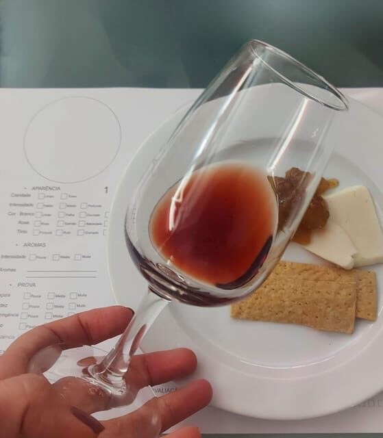 Golden Era of Évora walking & the portuguese wine tasting. - In-Depth Itinerary Breakdown