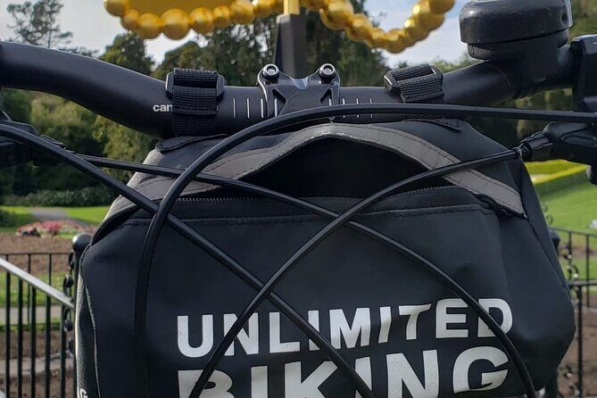 Golden Gate Park Bike Rentals - Insights from Reviews: The Good and the Not-So-Good