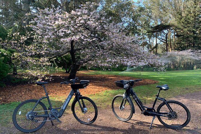 Golden Gate Park Electric Bike Rental - What You Can Expect on the Day