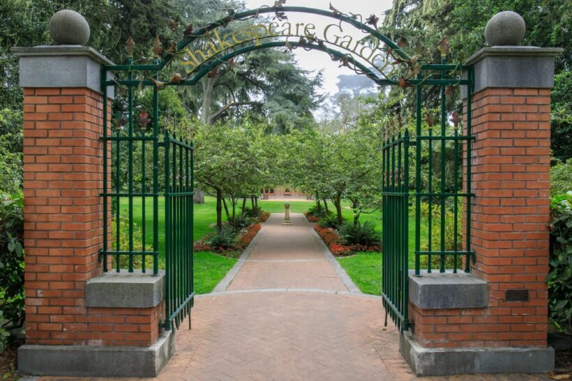 Golden Gate Park Tour With California Academy of Sciences - A Closer Look at the Tour Itinerary and Highlights