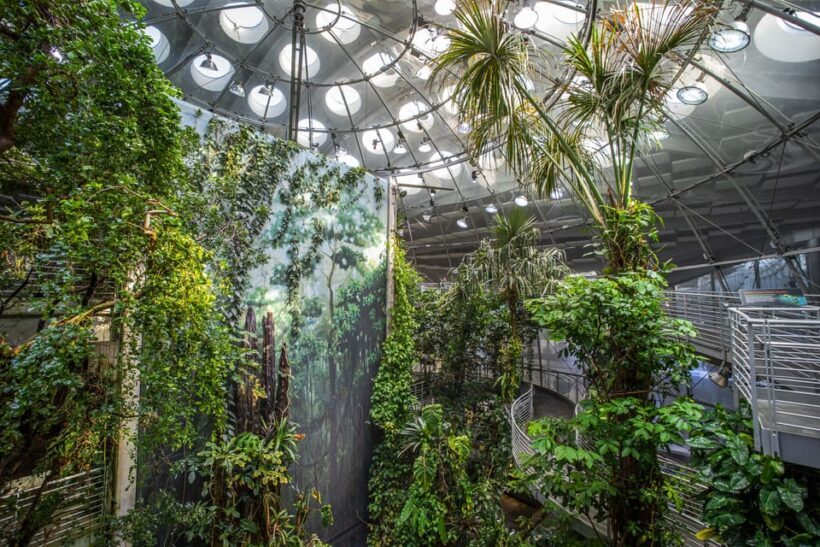 Golden Gate Park Tour With California Academy of Sciences - Practical Tips for Participants
