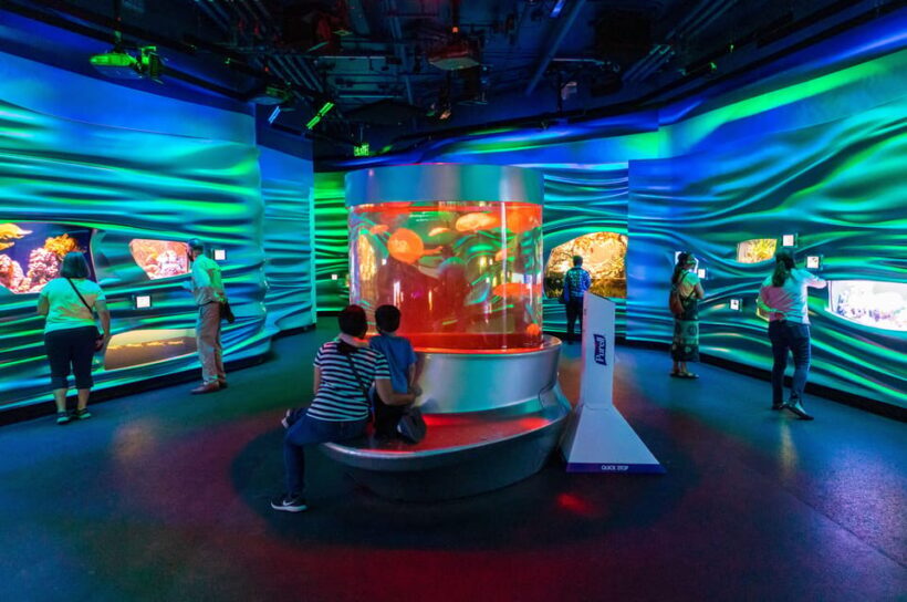 Golden Gate Park Tour With California Academy of Sciences - Who Would Enjoy This Tour Most?