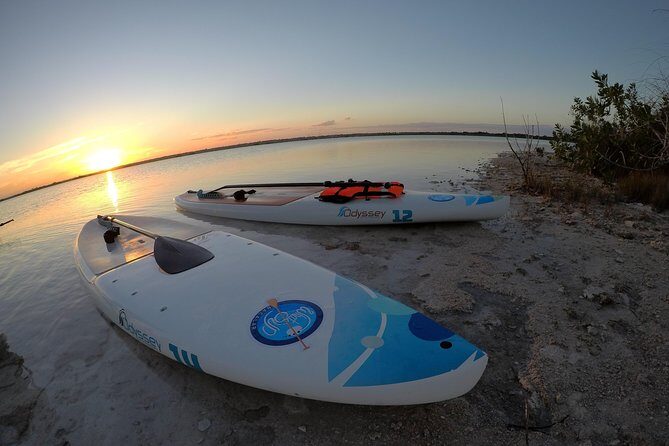 Golden Hour at Mariscal Lagoon: A Sunset to Remember - An Overview of the Experience