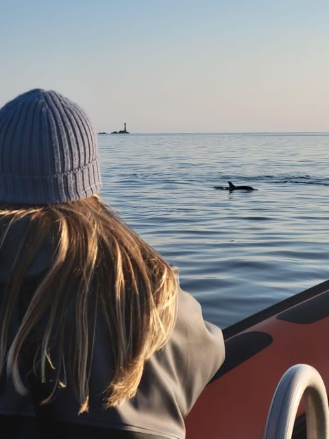 Golden Hour Boat Trip Experience - The Value of the Experience
