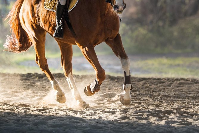 Golden Hour Gallop: Evening Ride in Paros - Panoramic Views at the Taxiarchaki Chapel