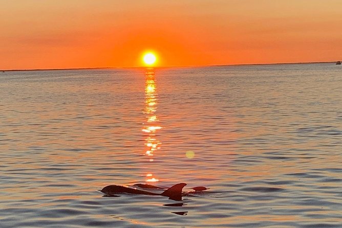 Golden Hour Sunset Cruise on the Florida Bay - Key Points