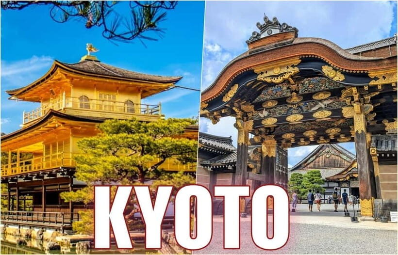 Golden Pavilion, Nijo Castle, & Nishiki Market Half day tour - Detailed Experience Breakdown