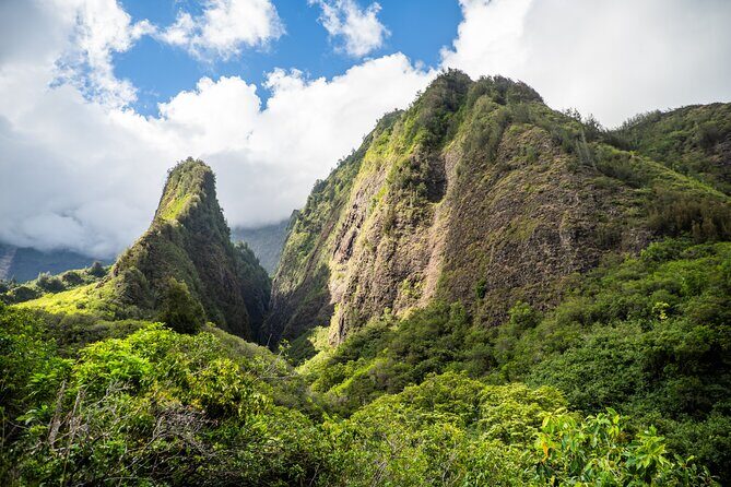 Golden Pineapples & Hidden Gems: A Private Upcountry Tour - Exploring Maui’s Upcountry: What You’ll Encounter