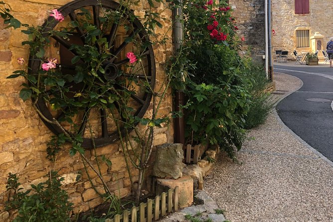 Golden Stones Beaujolais Wine Tour With Tastings From Lyon - Tour Experience