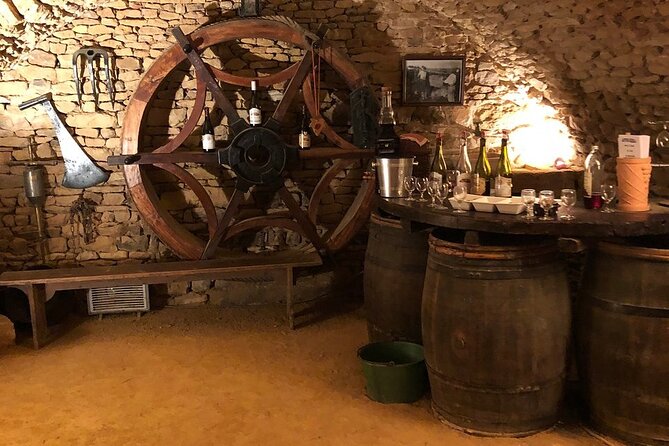 Golden Stones Beaujolais Wine Tour With Tastings From Lyon - Traveler Feedback