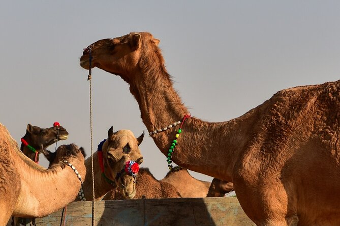 Golden Triangle Private Tour - Who Will Love This Tour?