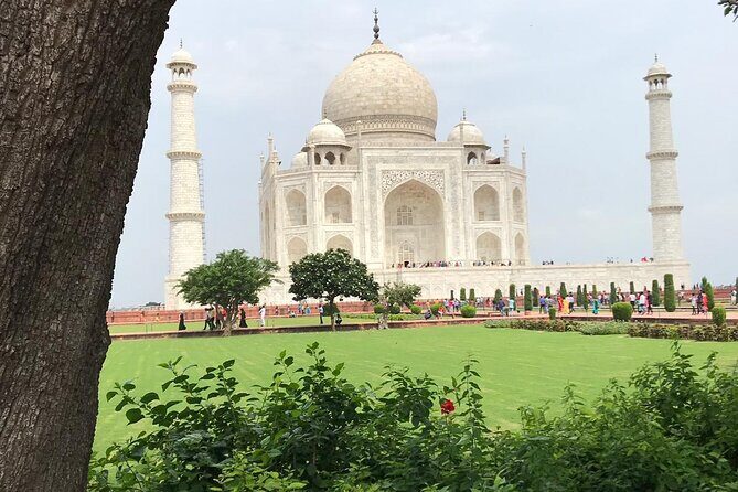 Golden Triangle Tour 2 Nights & 3 Days - Who Is This Tour Best For?