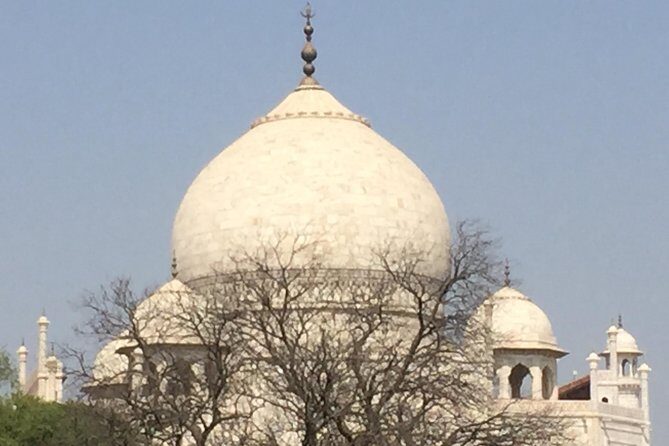 Golden Triangle Tour With Jodhpur and Udaipur - What Travelers Are Saying