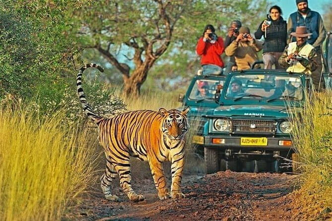 Golden Triangle Tour with Ranthambore (3 Star Hotel) - Key Points