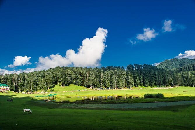 Golden Triangle Tour with Ranthambore (3 Star Hotel) - Final Thoughts