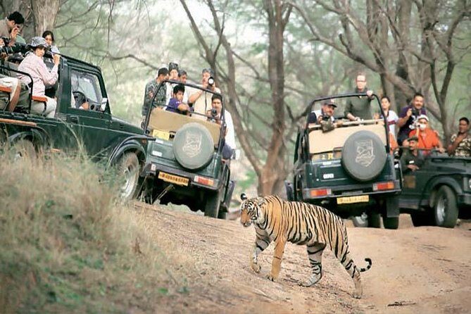 Golden Triangle Tour With Safari ( Ranthambore )8 Days Tour. - Day 1: Arrival in Delhi and Akshardham Temple